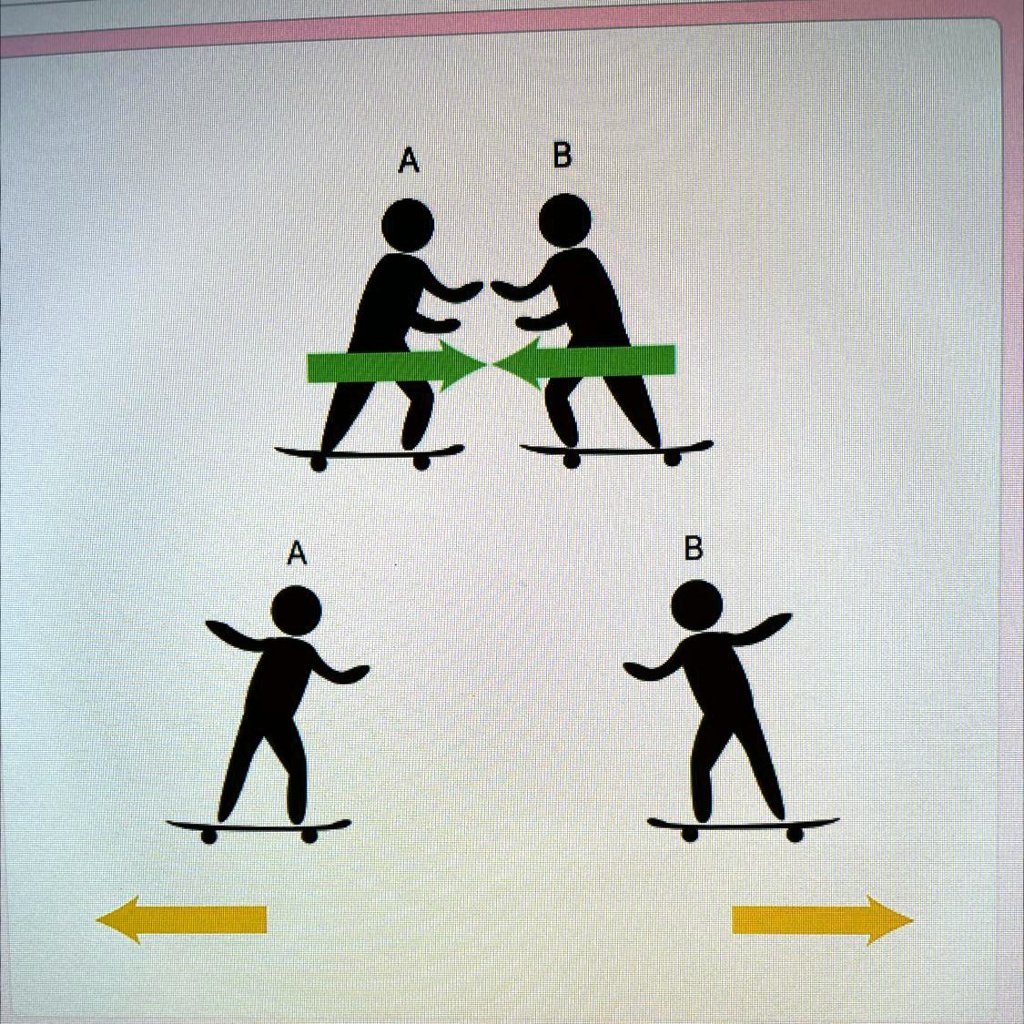 SOLVED: ' Imagine that person B is more massive than person A in the ...