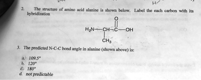 2. The structure of amino acid alanine is shown below. Label the each ...