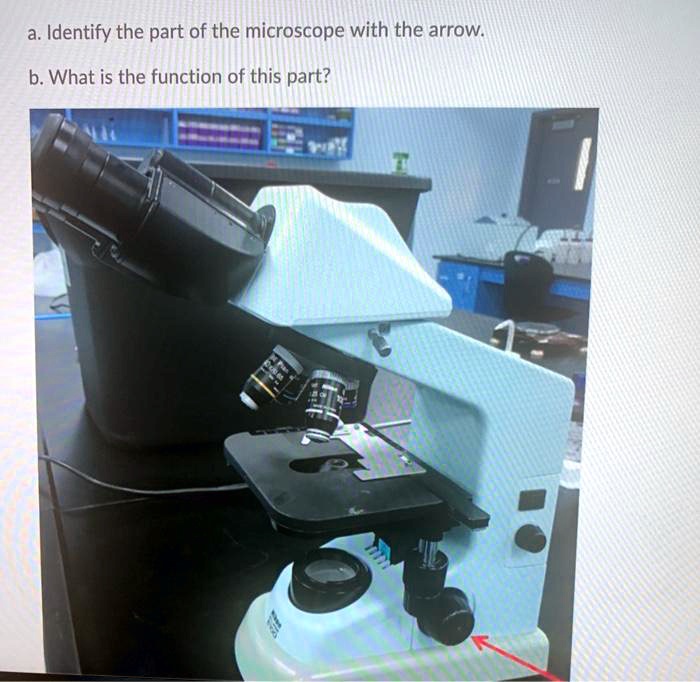 SOLVED: a. Identify the part of the microscope with the arrow b What is ...