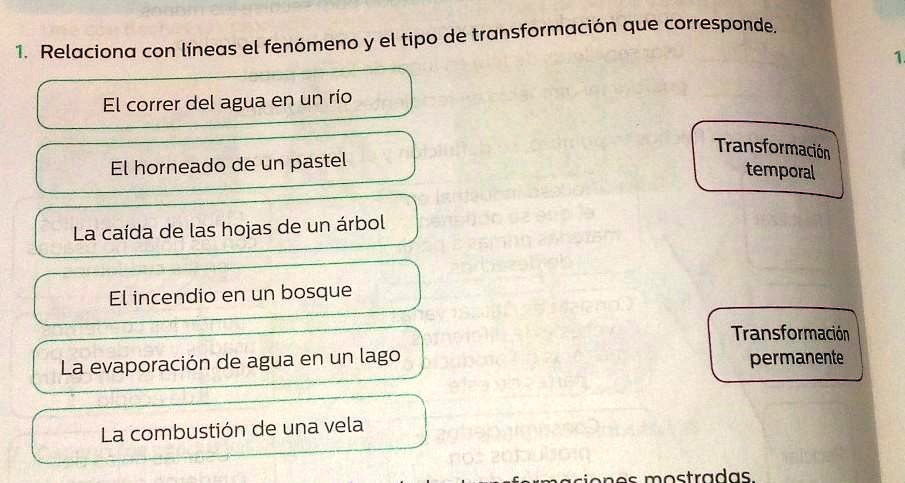 SOLVED: Ayuda por favor es de Ciencias Naturales de transformación que ... SOLVED: Ayuda por favor es de Ciencias Naturales de transformación que ...
