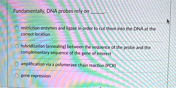fundamentally dna probes rely on restriction enzymes and ligase in ...