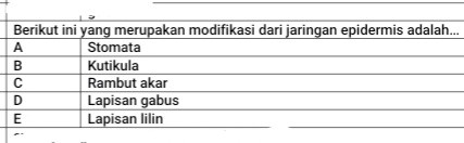 SOLVED: 2l Berikut ini yang merupakan modifikasi dari jaringan ...