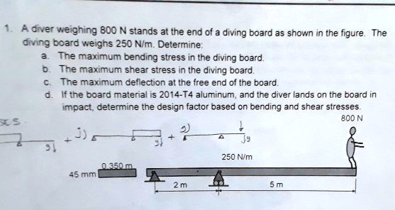 SOLVED: A diver weighing 800 N stands at the end of a diving board as ...