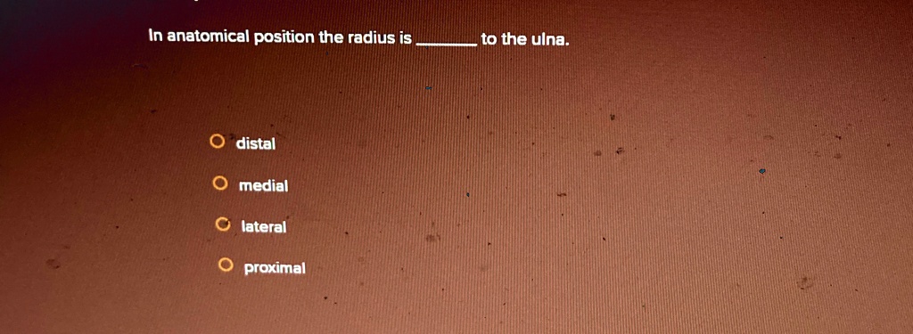 in anatomical position the radius is to the ulna o distal o medial o ...
