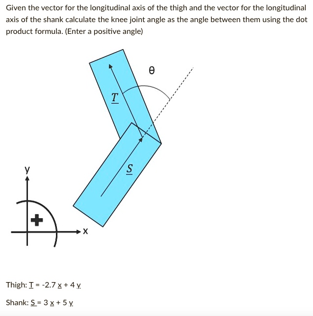 Given the vector for the longitudinal axis of the thigh and the vector ...