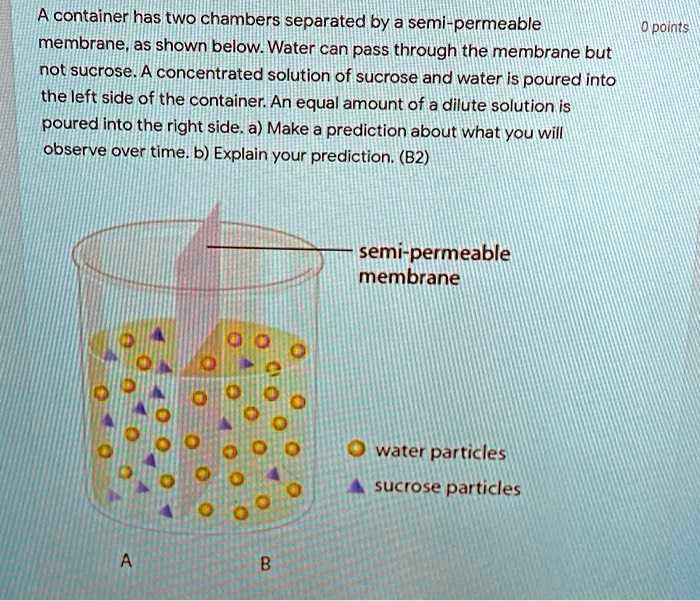 SOLVED: A container has two chambers separated by a semi-permeable ...
