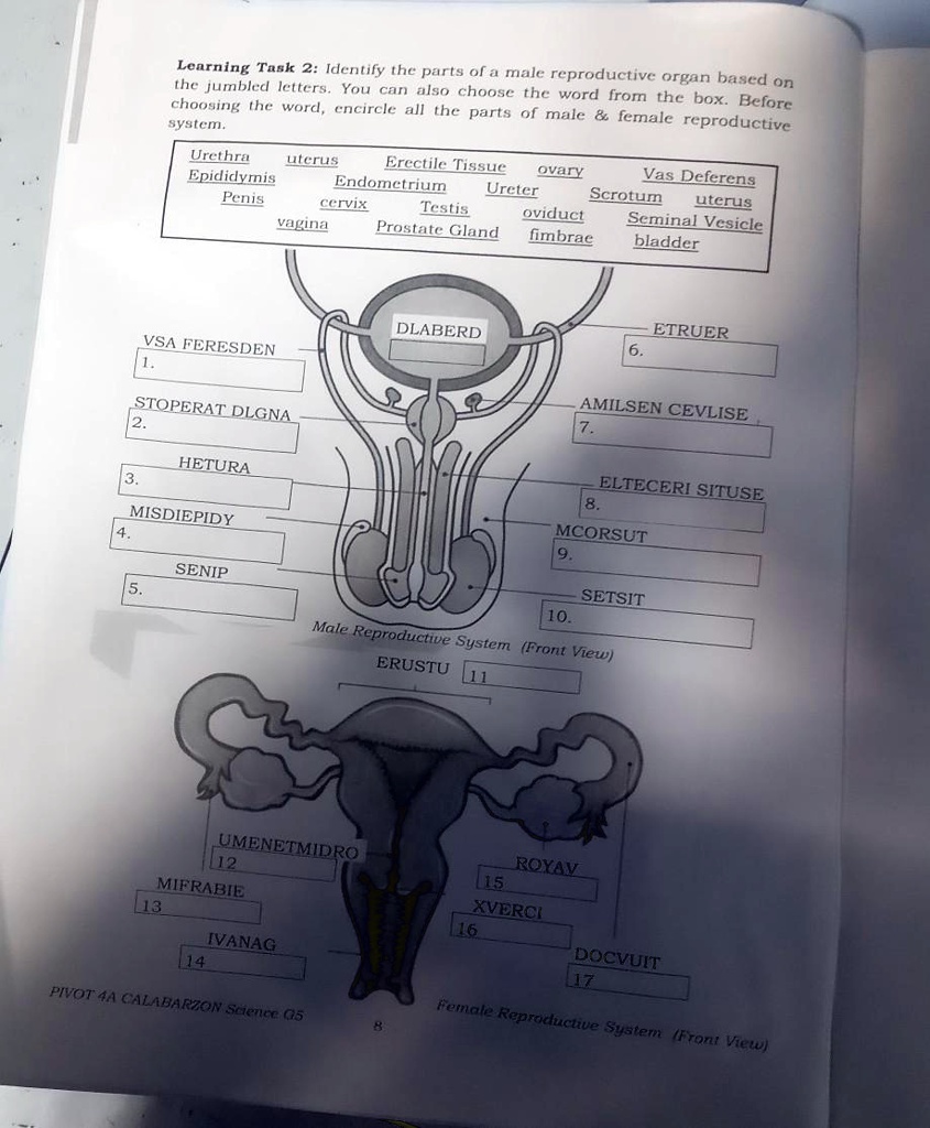 pa help po kailangan ko na po kasi e lenrning task 2 identify the parts ...