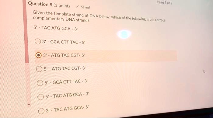 question 5 1 page ot point saved given the template strand of dna below complementary dna strand ...