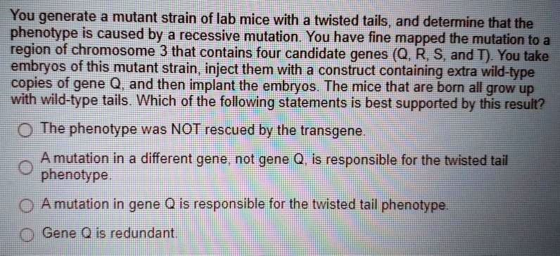 SOLVED:You generate a mutant strain of lab mice with @ twisted tails ...