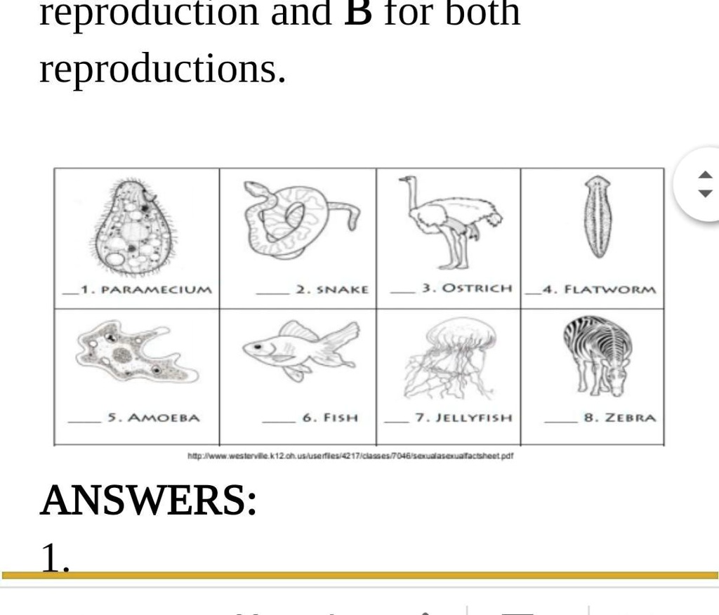 SOLVED: Directions: Identify the mode of reproduction of the following ...