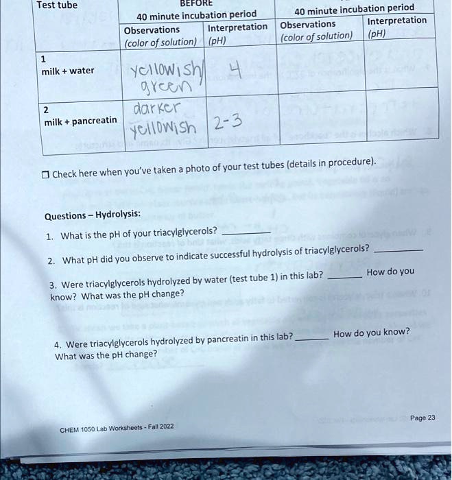 SOLVED: Test tube BEFORE 40-minute incubation period 40-minute ...