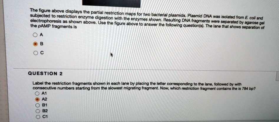 the figure above displays the partial restriction subjected to ...