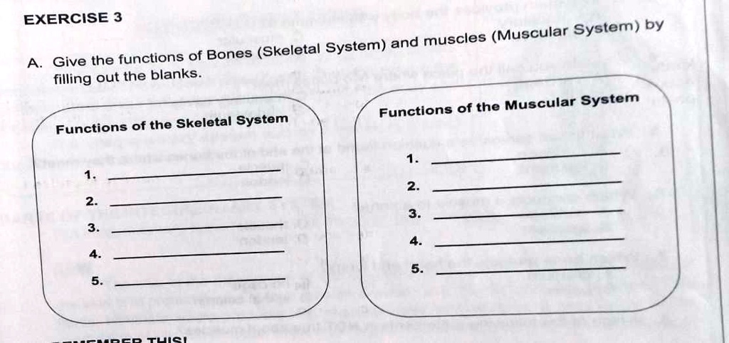 EXERCISE 3 A. Give the functions of Bones (Skeletal System) and muscles ...