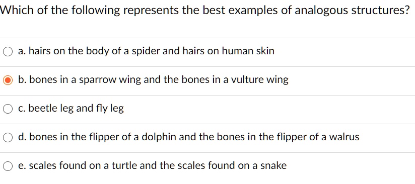 which of the following represents the best examples of analogous ...