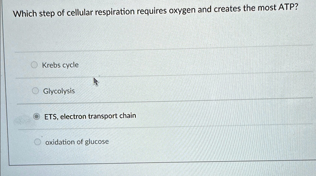which step of cellular respiration requires oxygen and creates the most ...