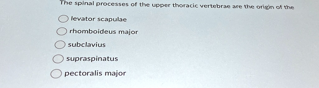 the spinal processes of the upper thoracic vertebrae are the origin of ...