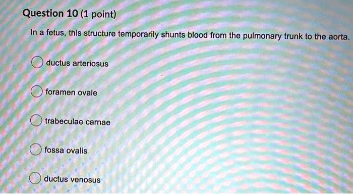 In a fetus, this structure temporarily shunts blood from the pulmonary ...