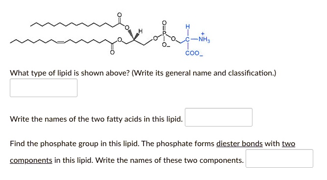 SOLVED: -NHs coo What type of lipid is shown above? (Write its general ...