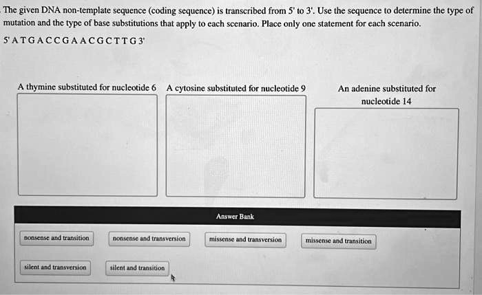 The given DNA non-template coding sequence is transcribed from 5' to 3'. Use the sequence to ...