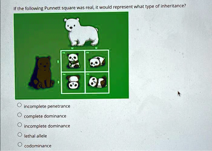 SOLVED: If the following Punnett square was real, it would represent ...