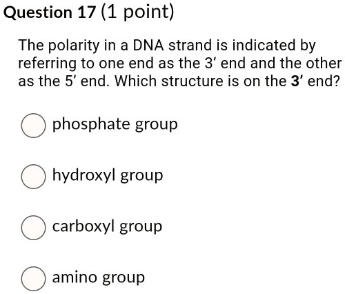 SOLVED: Question 17 (1 point) The polarity in a DNA strand is indicated ...