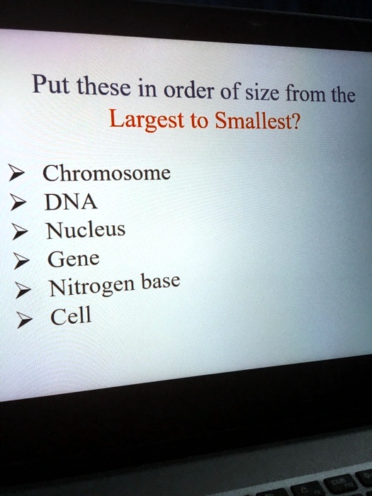 Smallest To Biggest Chromosome Nucleus Gene And Cell RogeliokruwCarey