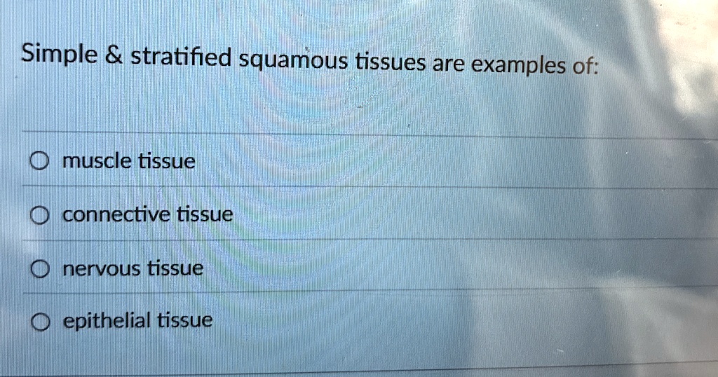 Simple stratified squamous tissues are examples of: ? muscle tissue ...