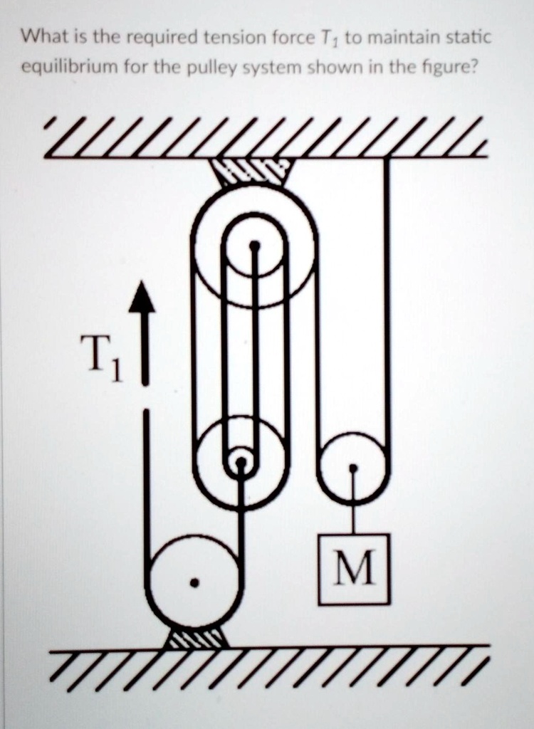 What is the required tension force T1 to maintain static equilibrium for the pulley system shown ...