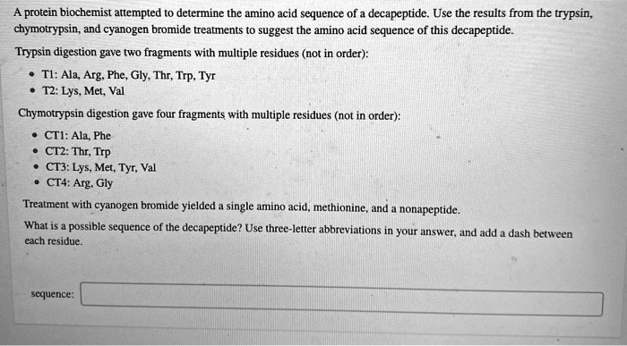 SOLVED: A protein biochemist attempted to determine the amino acid ...