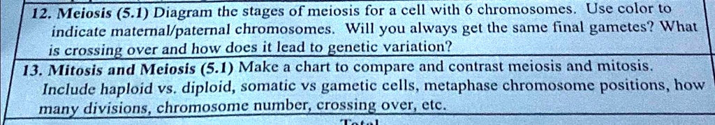 12. Meiosis (5.1) Diagram the stages of meiosis for a cell with 6 ...