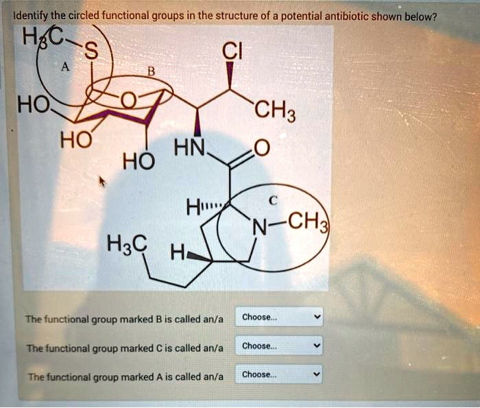 SOLVED: Identify the circled functional groups in the structure of a potential antibiotic shown ...