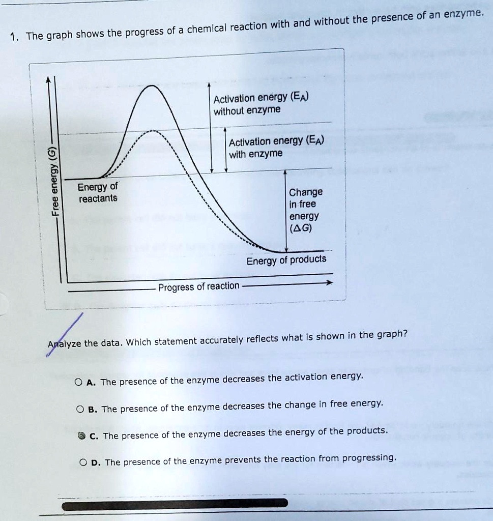 SOLVED: Activation energy (EA) without enzyme Activation energy (E ...