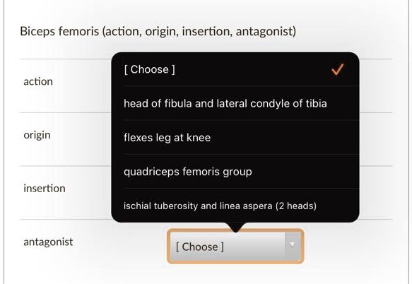 Biceps femoris (action, origin, insertion, antagonist) [Choose] action ...