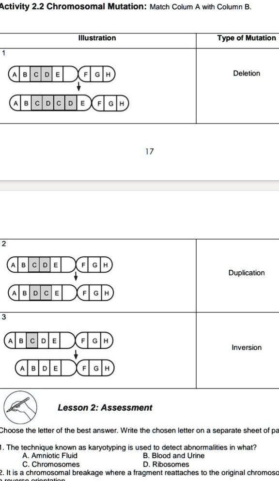 Pa HEPL Activity 2.2 Chromosomal Mutation: Match Column A with Column B ...