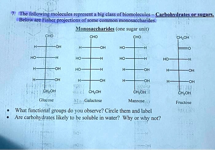SOLVED:The following molecules represent a big class of biomolecules ...