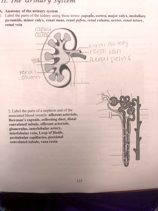 SOLVED: The arbitrary system