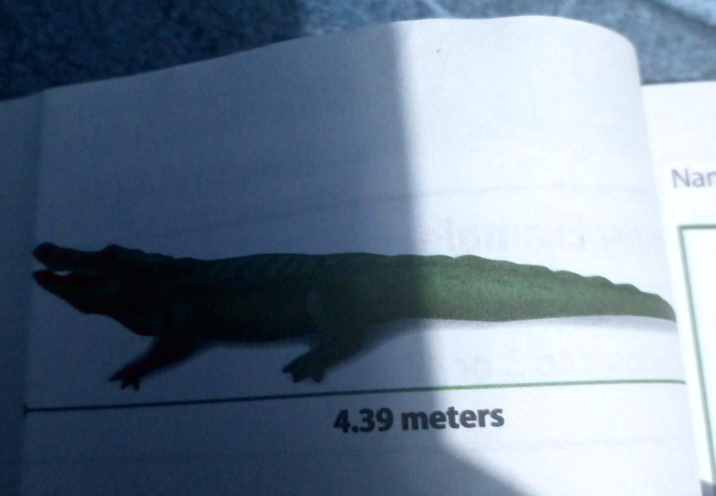 the picture at the right shows the length of an average american ...