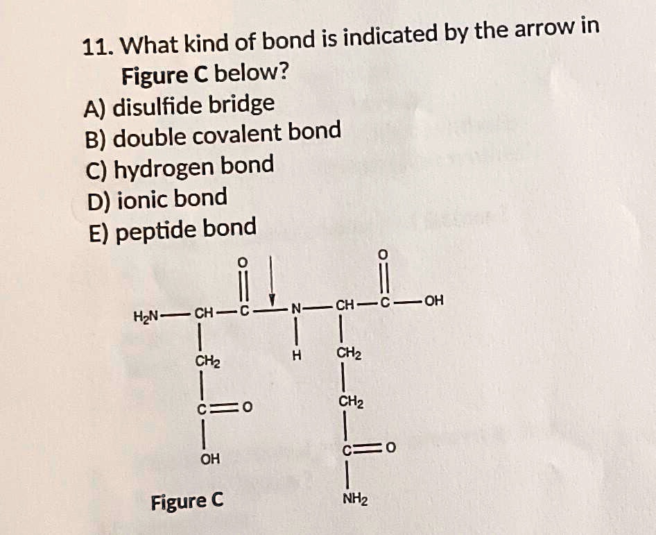 11. What kind of bond is indicated by the arrow in Figure C below? A ...