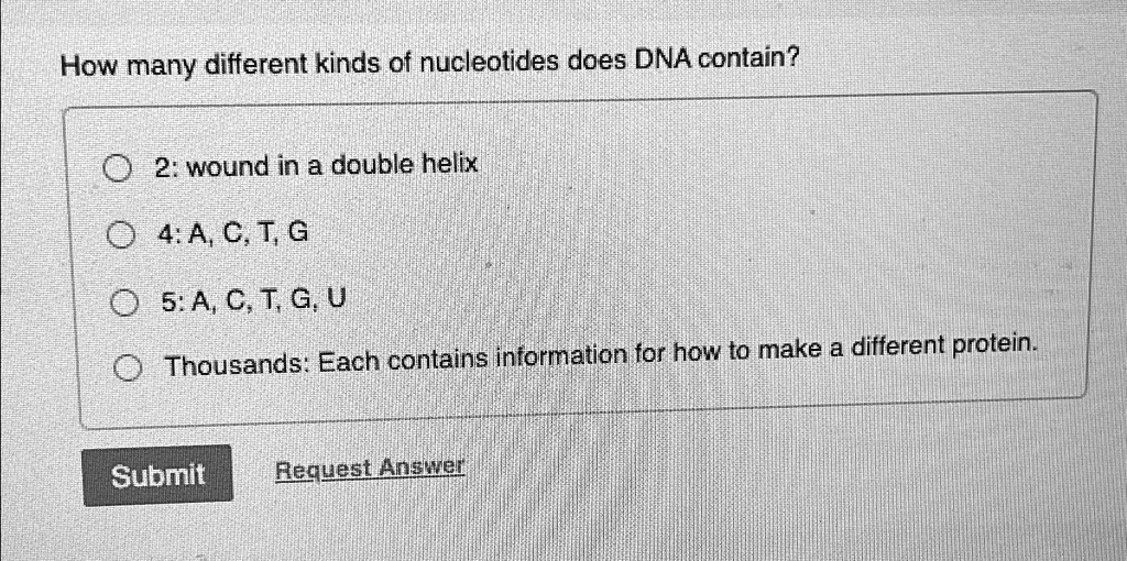SOLVED: How many different kinds of nucleotides does DNA contain? 2 ...