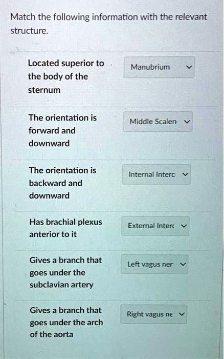 Match the following information with the relevant structure. Located ...