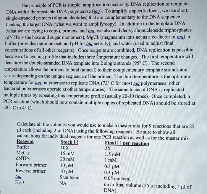 SOLVED: The principle of PCR is simple: amplification occurs by DNA ...
