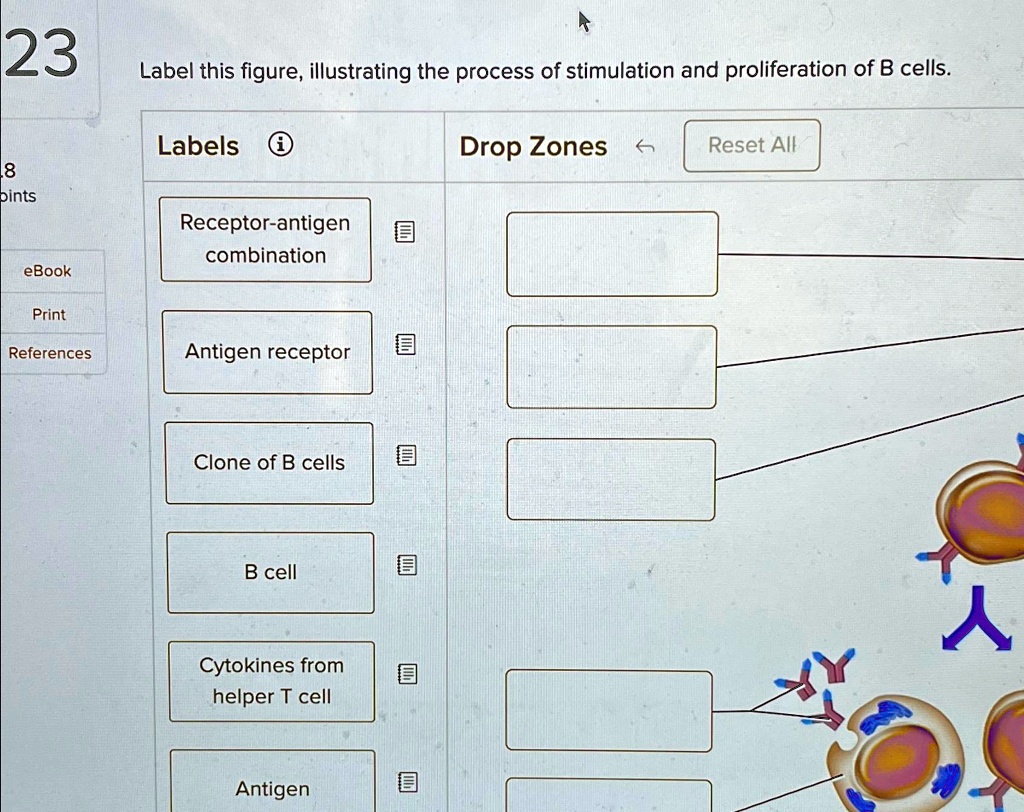 23 Label this figure, illustrating the process of stimulation and ...