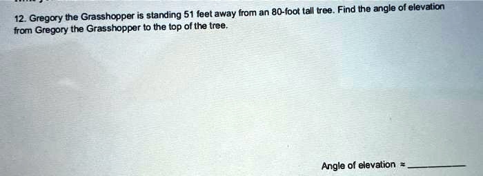 SOLVED: feet away from an 80-foot tall tree Find the angle of elevation ...