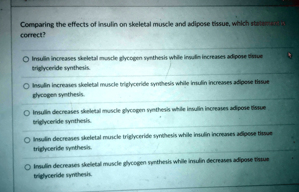 comparing the effects of insulin on skeletal muscle and adipose tissue ...