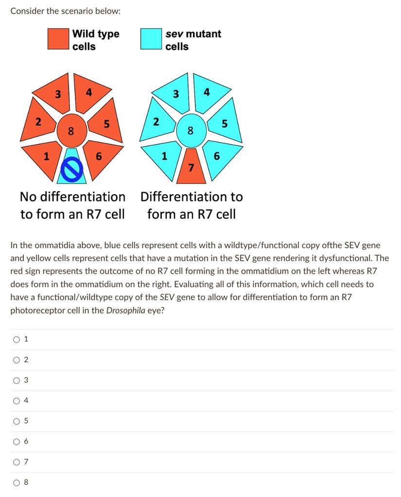 consider the scenario below wild type cells sev mutant cells 3 4 3 4 2 ...
