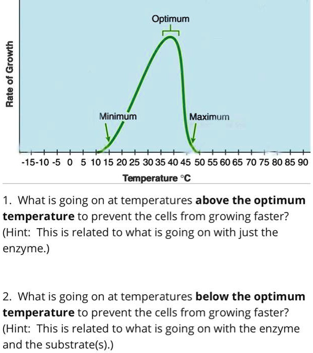 SOLVED: Optimum L 1 Minimum Maximum 45-10 -5 5 10 15 20 25 30 35 40 45 ...
