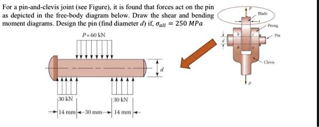 For a pin-and-clevis joint (see Figure), it is found that forces act on ...