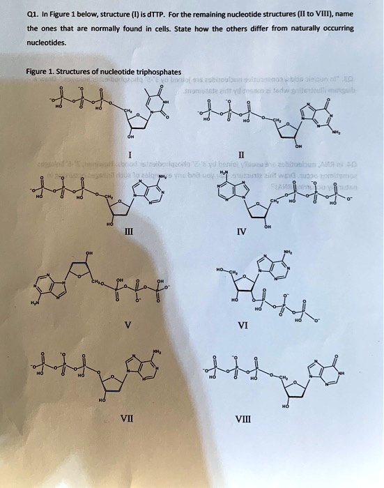 SOLVED:Figure below; structure (I) is dTTP . For the remaining ...