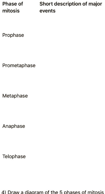 SOLVED: Phase of mitosis Short description of major events Prophase ...