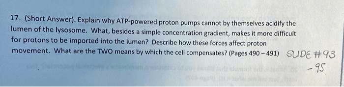 17 short answer explain why atp powered proton pumps cannot by ...